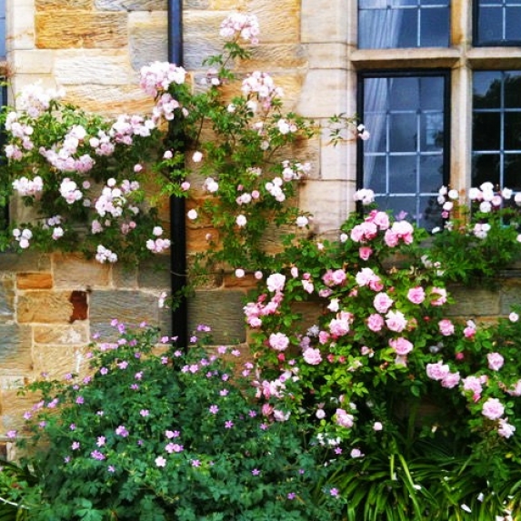 HOME WICKENDEN MANOR - Wickenden Manor